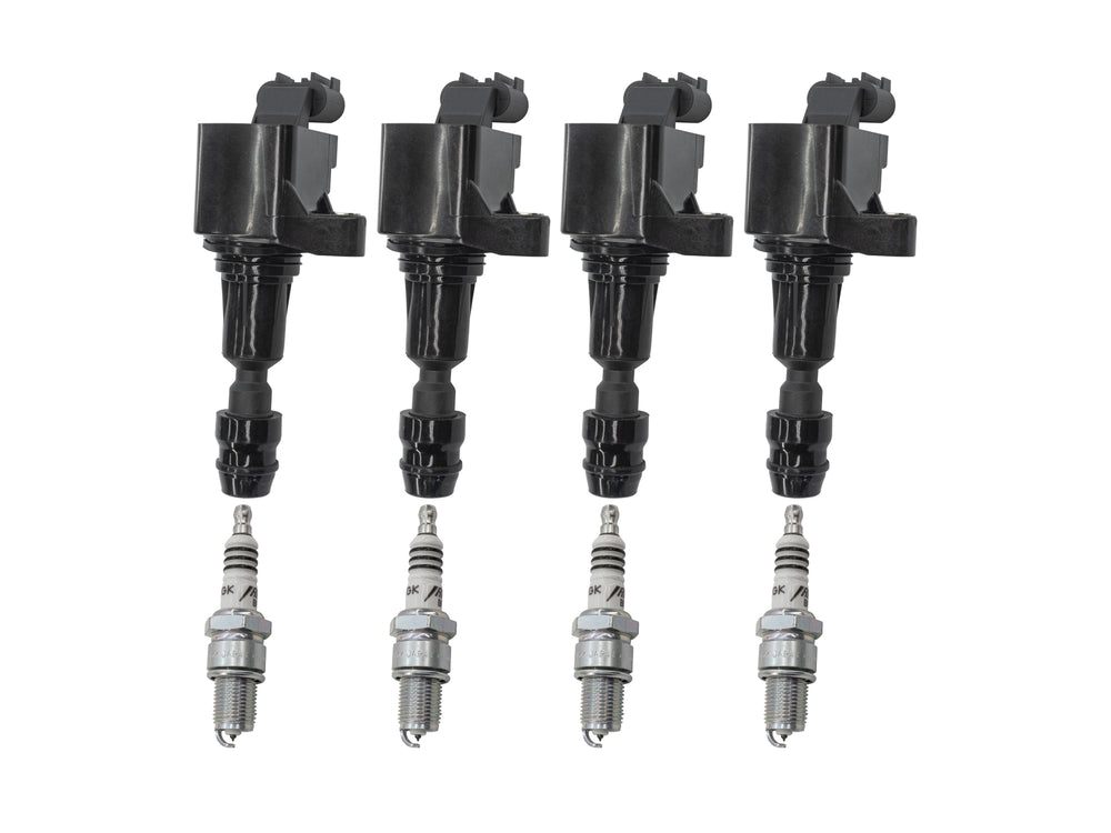 Ignition Coil and Spark Plug Bundle (GW-EFI) – GoWesty
