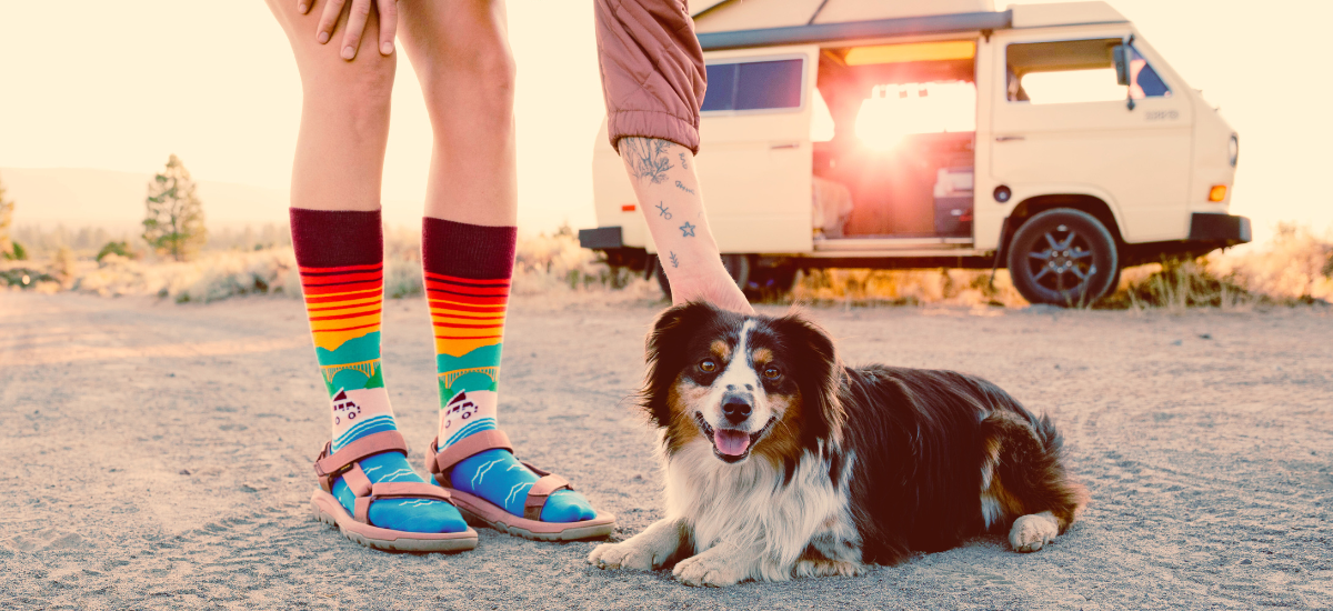 GoWesty • 🤙 • Premier parts supplier for VW Bus, Vanagon, & Eurovan