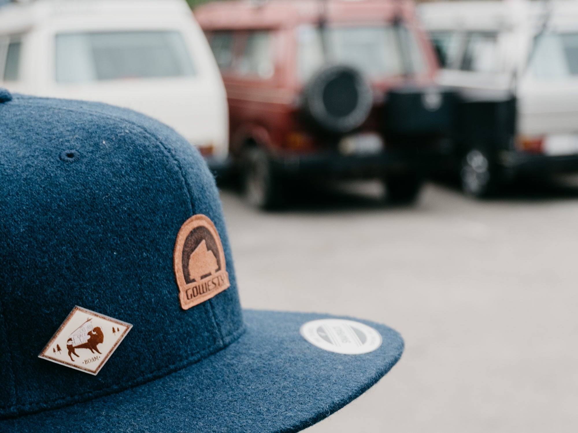 Buffalo roam enamel pin – GoWesty